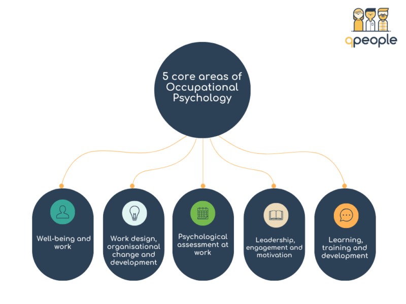 The 5 Core Areas of Occupational Psychology That Can Benefit Your ...